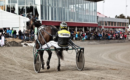 Travh st Och Kusk